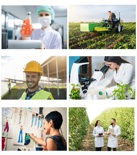 Negocios Verdes Innovadores - Mundobiotec